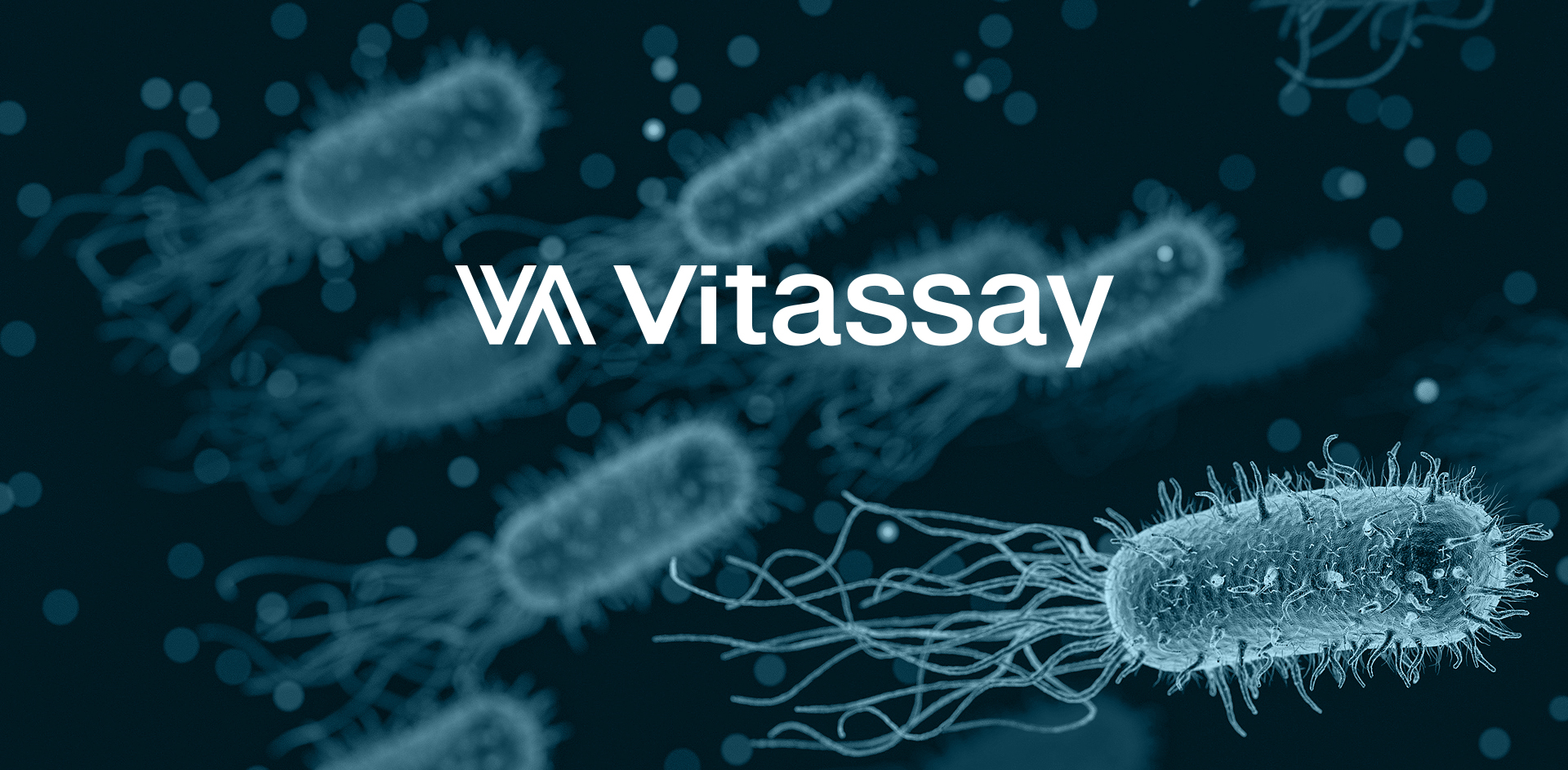Vitassay – Identifying pathogens worldwide